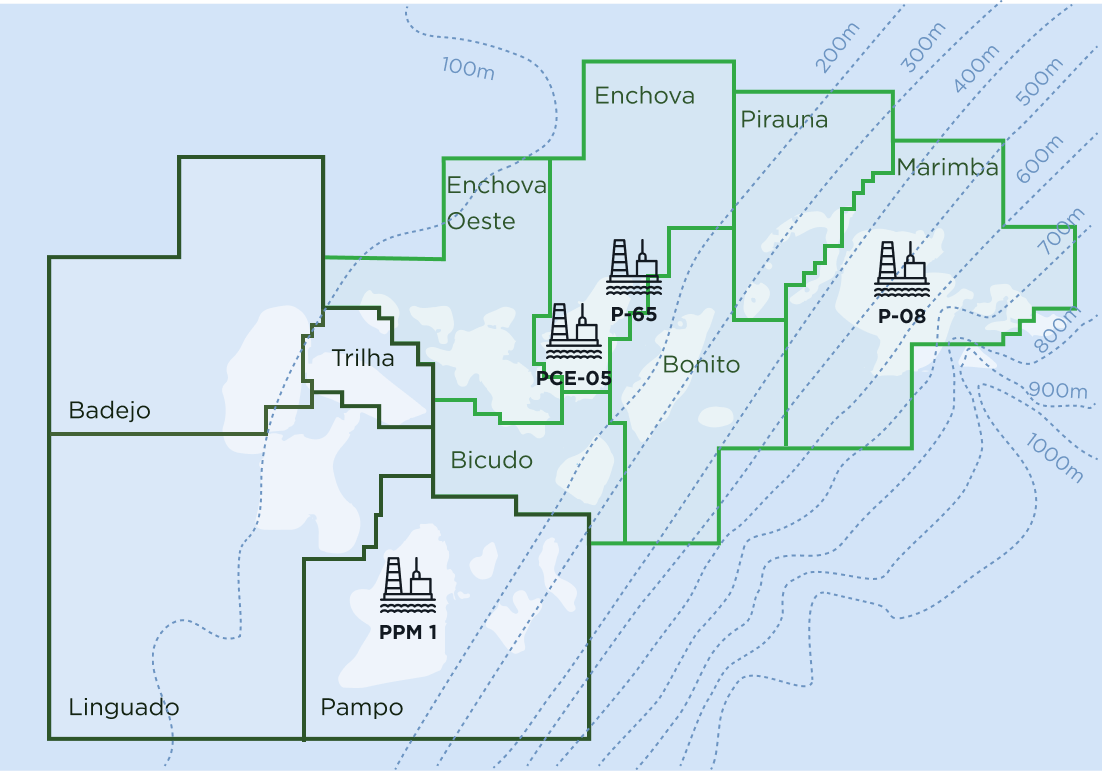 Estratégia e Ativos - Trident Energy